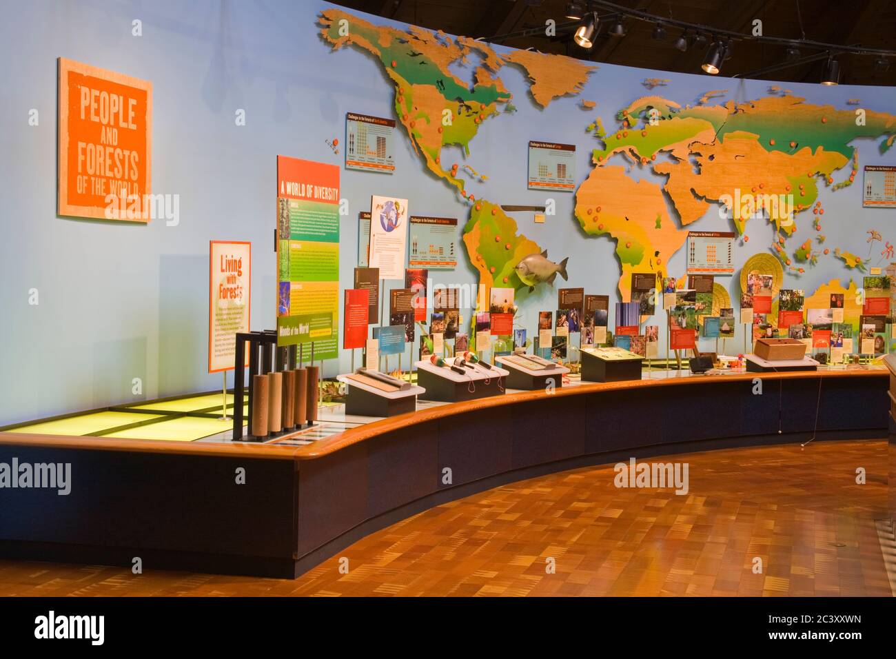 World forestry center hi-res stock photography and images - Alamy