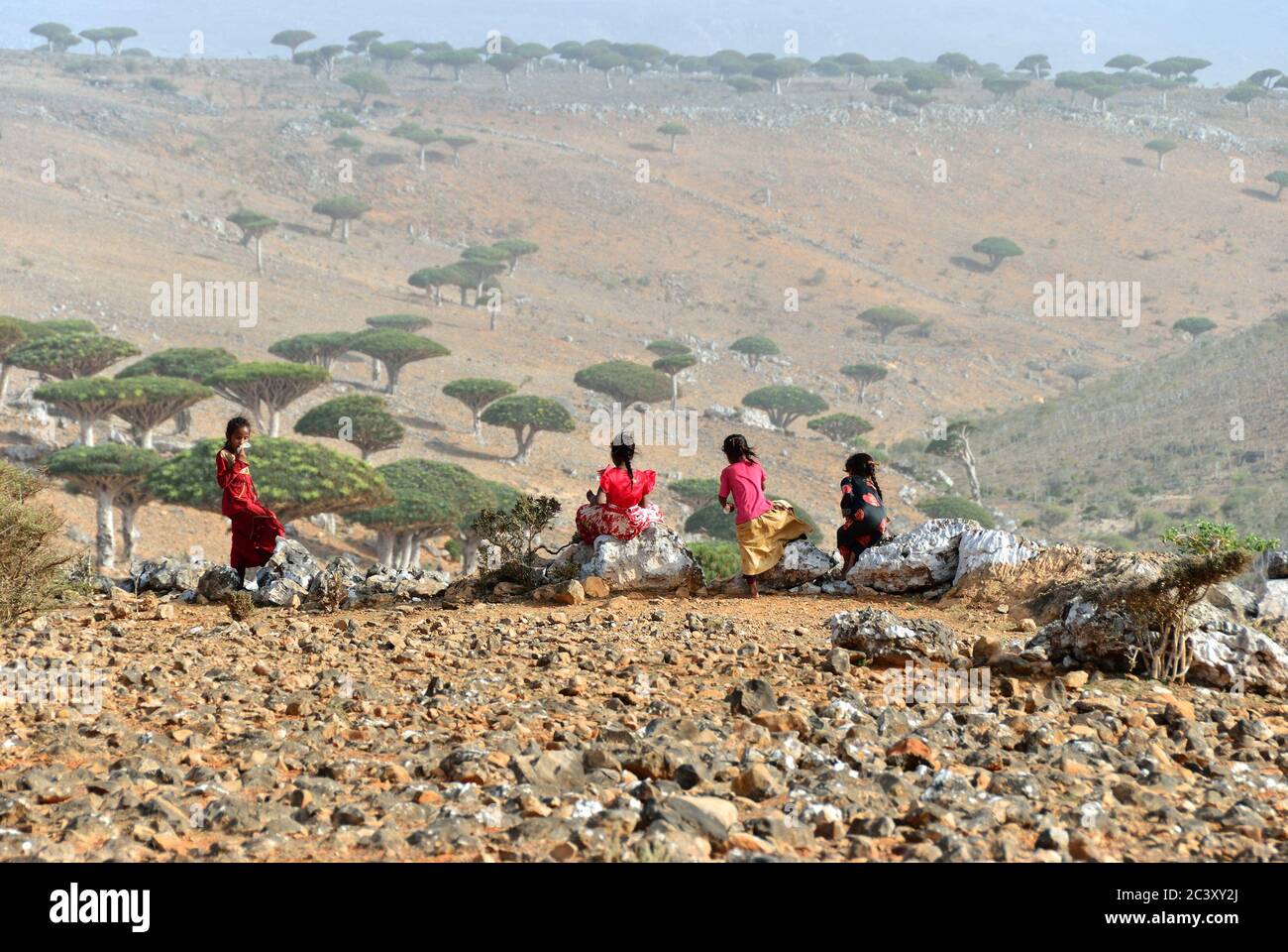 Children socotra island yemen hi-res stock photography and images - Alamy