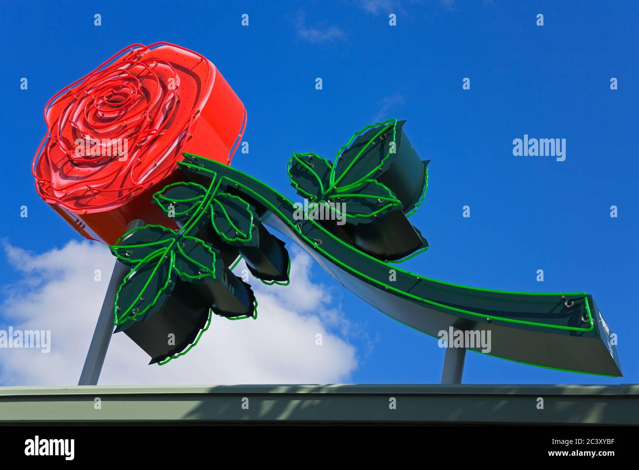 Neon rose sign in Waterfront Park, downtown Portland, Oregon,USA Stock ...