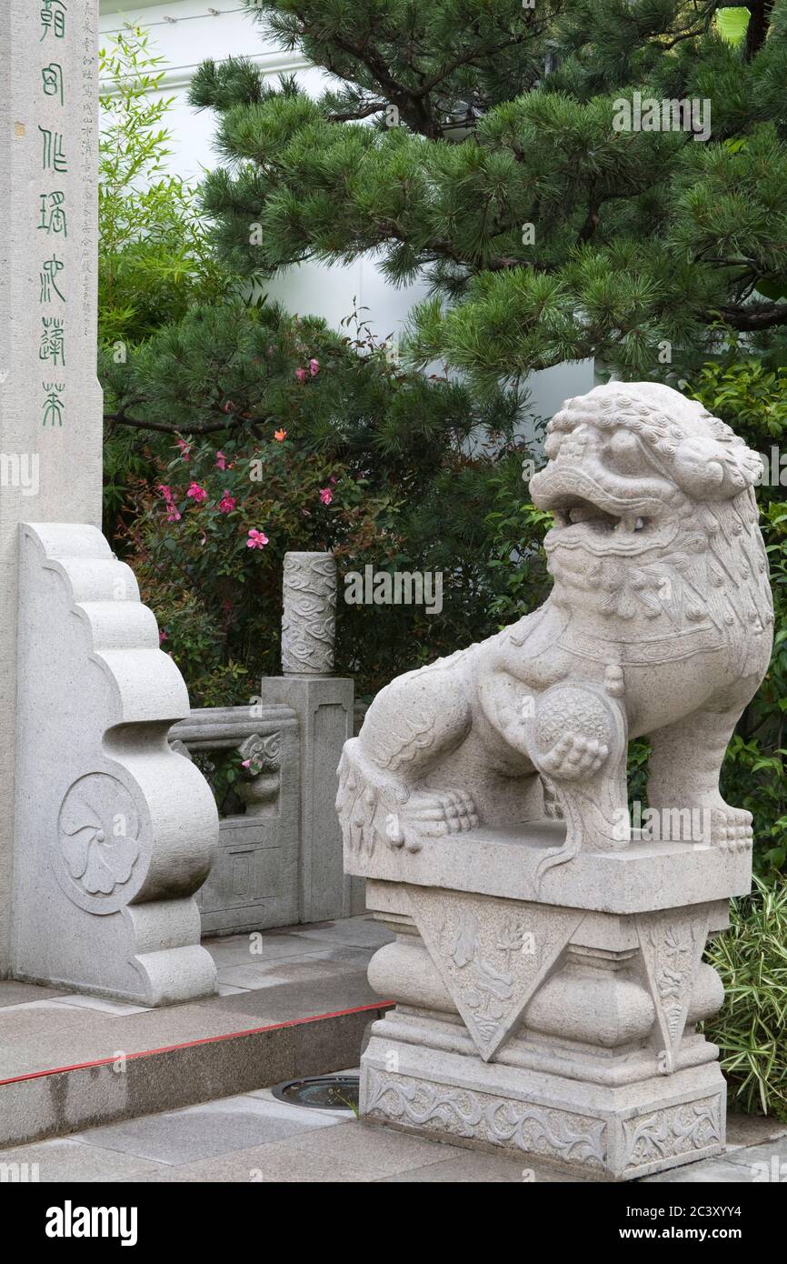 Chinese lion statue in chinatown hi-res stock photography and images ...