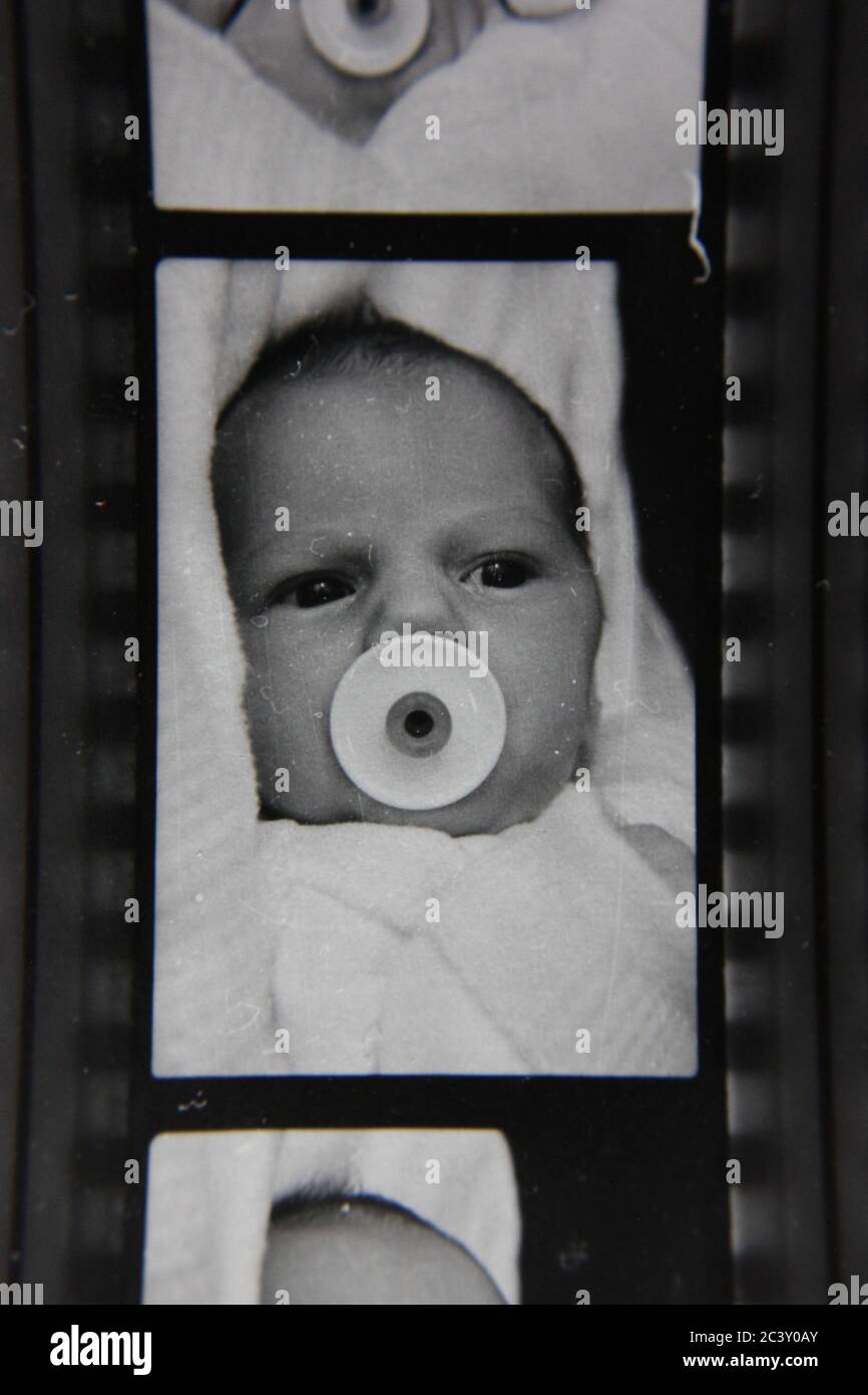 Fine 70s vintage contact print black and white photography of a curious ...
