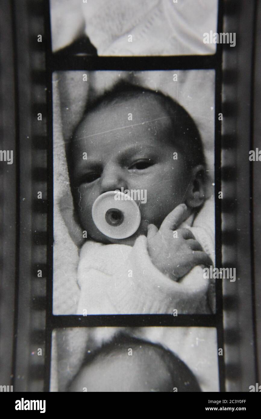 Fine 70s vintage contact print black and white photography of a curious ...