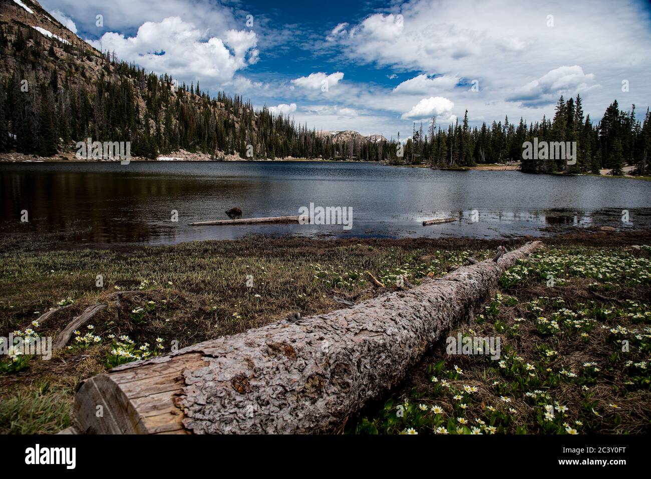 Early summer in high mountain lake in the High Uintah Mountains ...