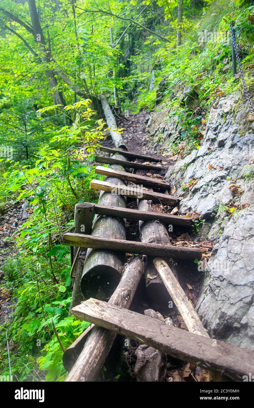 Ladder on hiking trail hi-res stock photography and images - Alamy