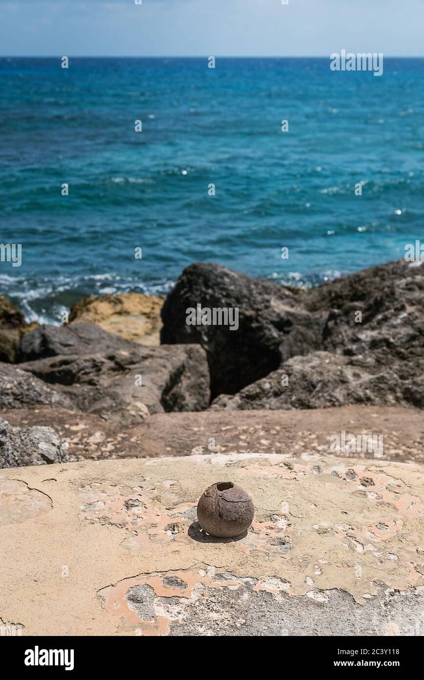 coconut at caribbean sea seascape Stock Photo - Alamy
