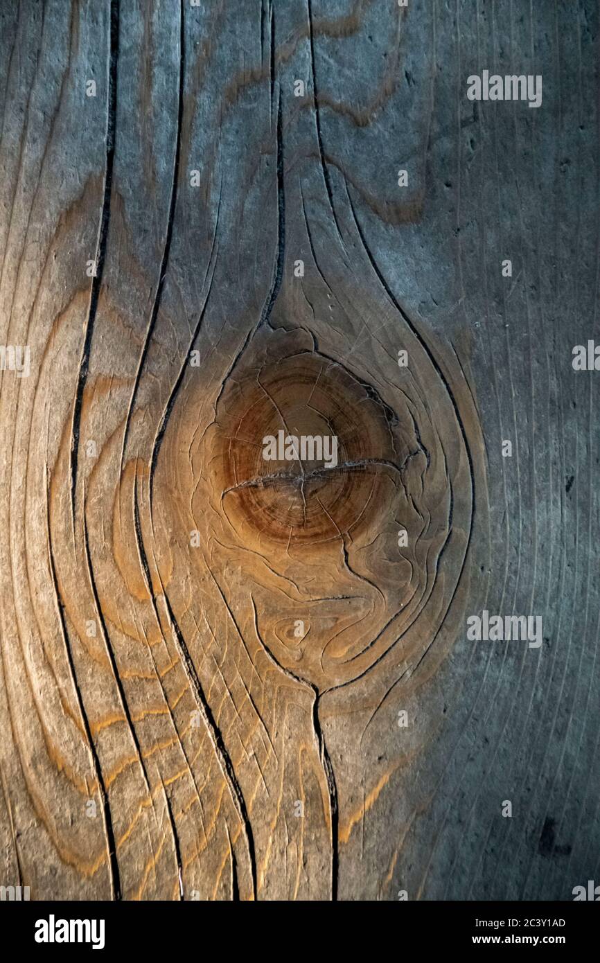 Large knot on a wooden floor board Stock Photo - Alamy