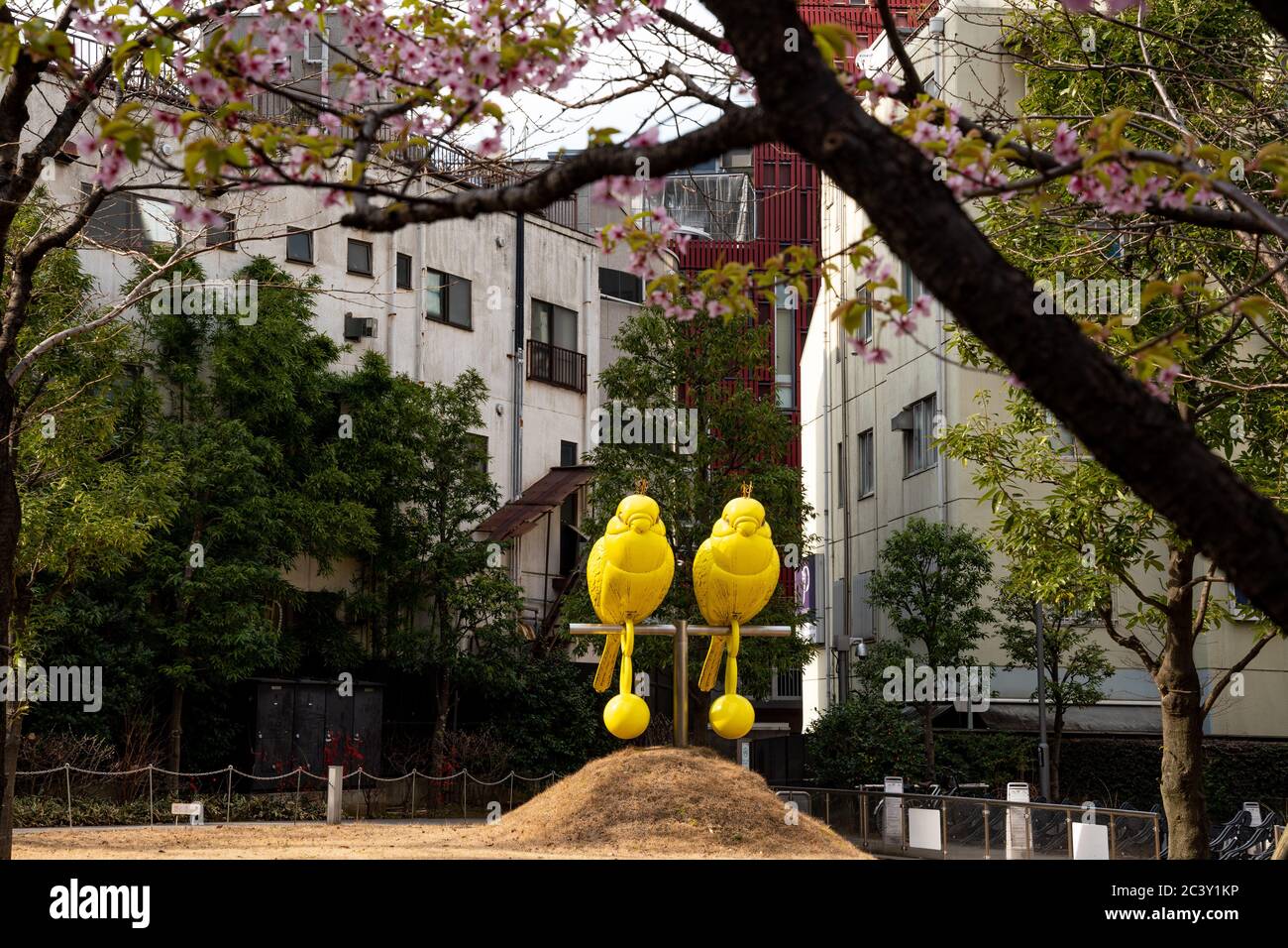 Giant yellow birds sitting on a perch. Cute artistic installation in a ...