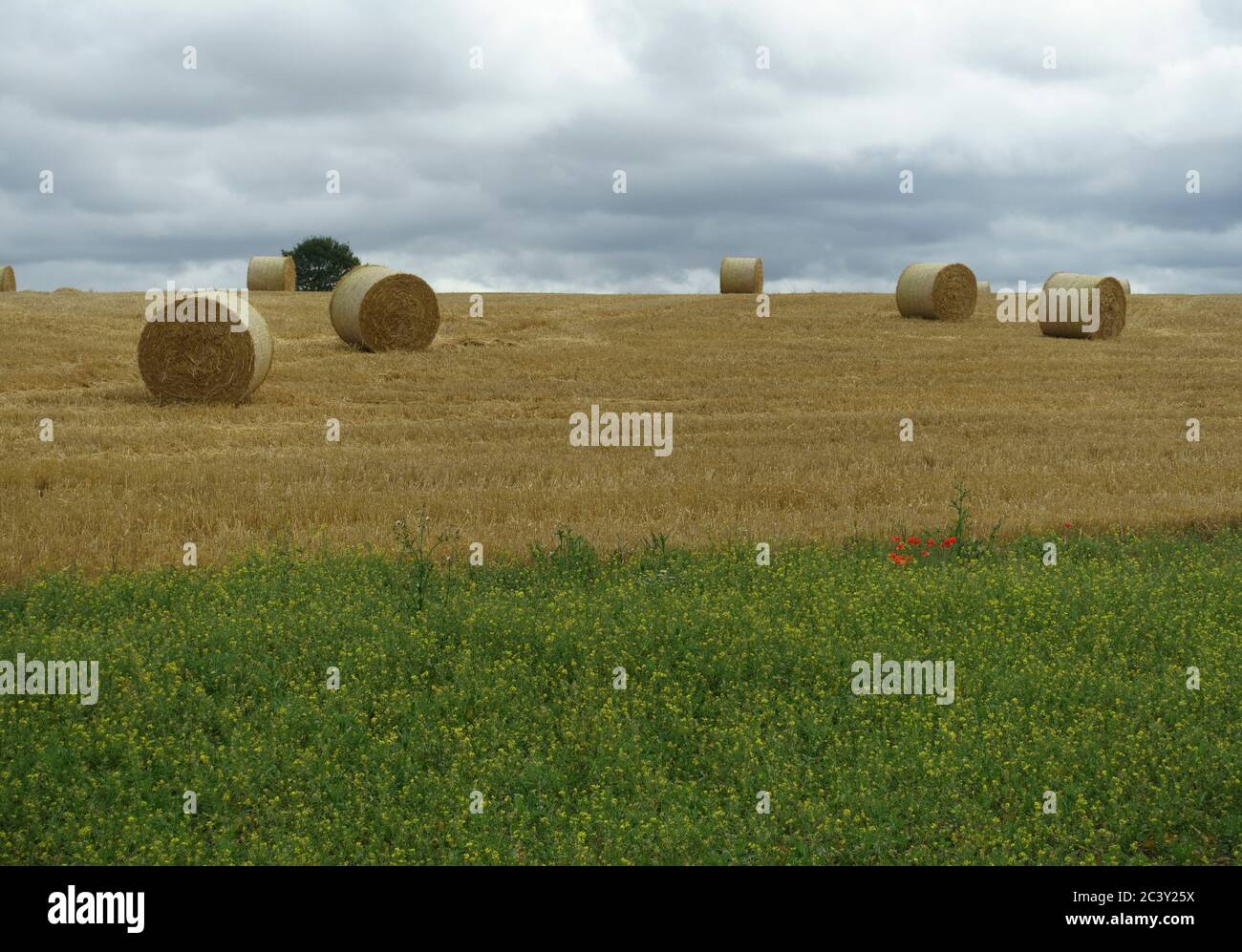 Beautiful landscape round bales hi-res stock photography and images - Alamy
