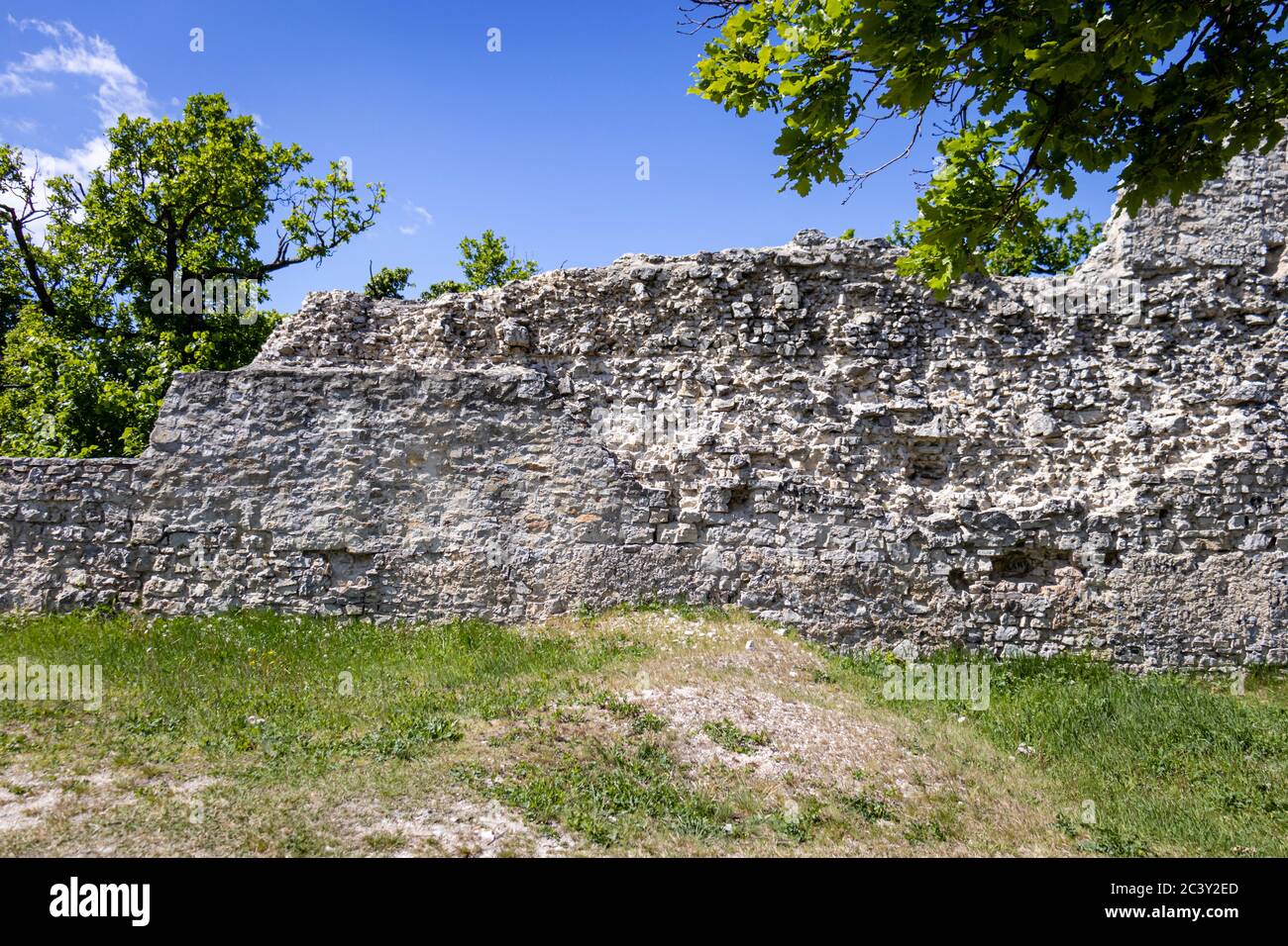 Rezi forest hi-res stock photography and images - Alamy