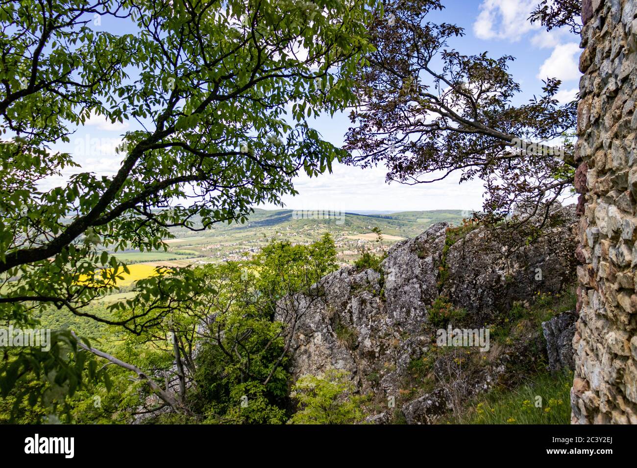 Rezi forest hi-res stock photography and images - Alamy