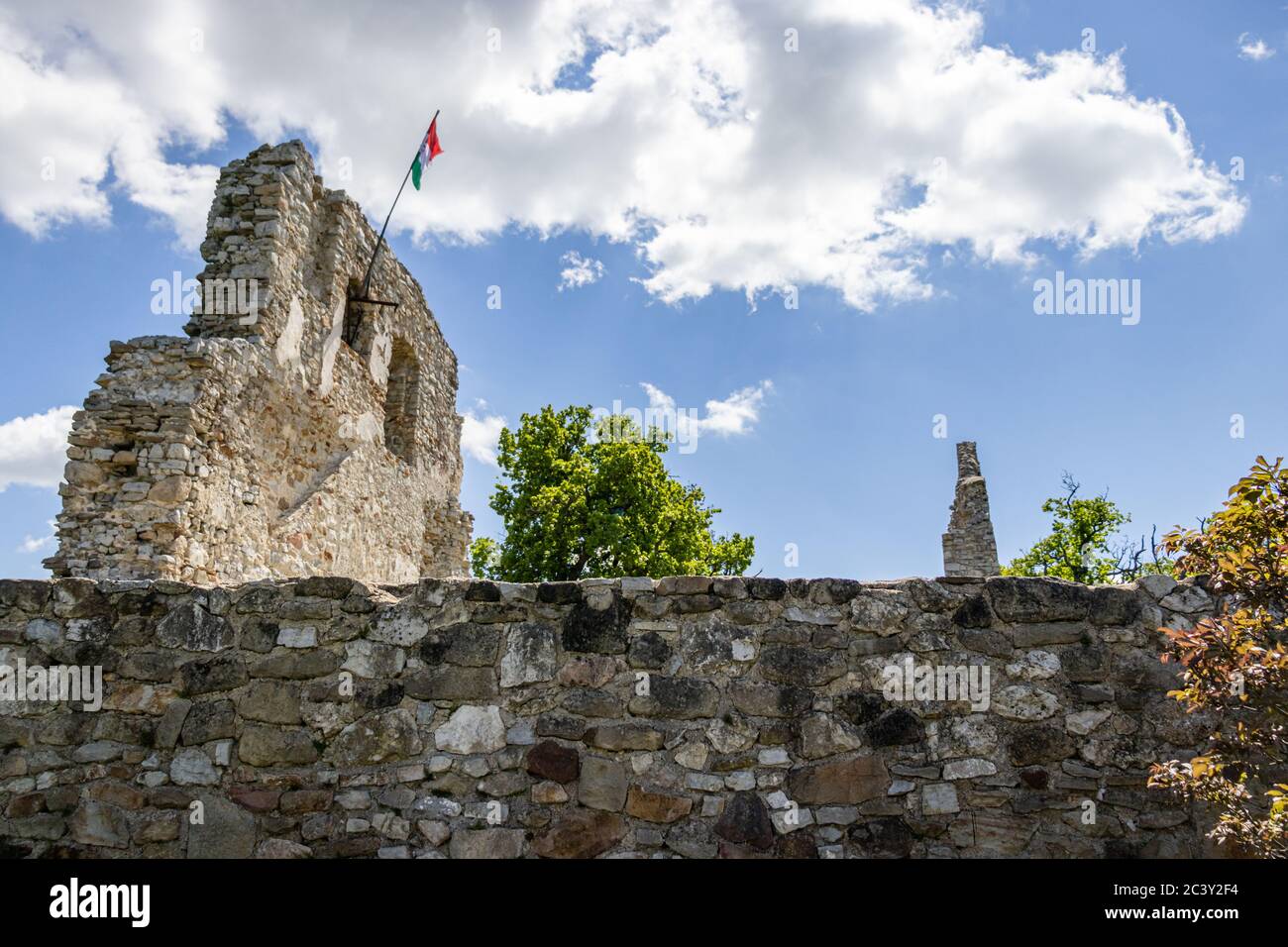 Rezi forest hi-res stock photography and images - Alamy