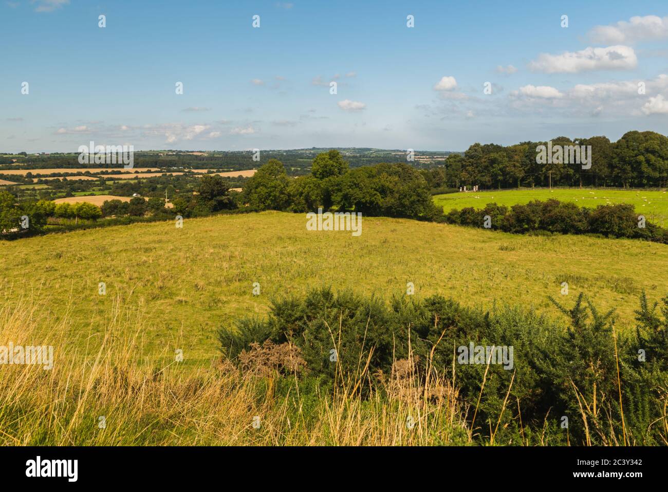 Irish rural landscape at Dowth Stock Photo - Alamy