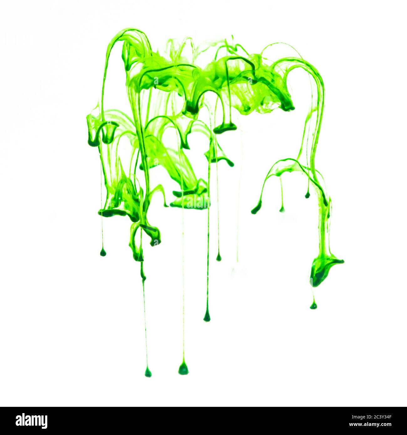 Light in photography Cut Out Stock Images & Pictures - Alamy