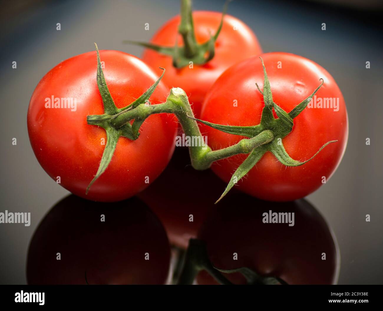 Fresh red vine tomatoes on a shiny surface Stock Photo - Alamy