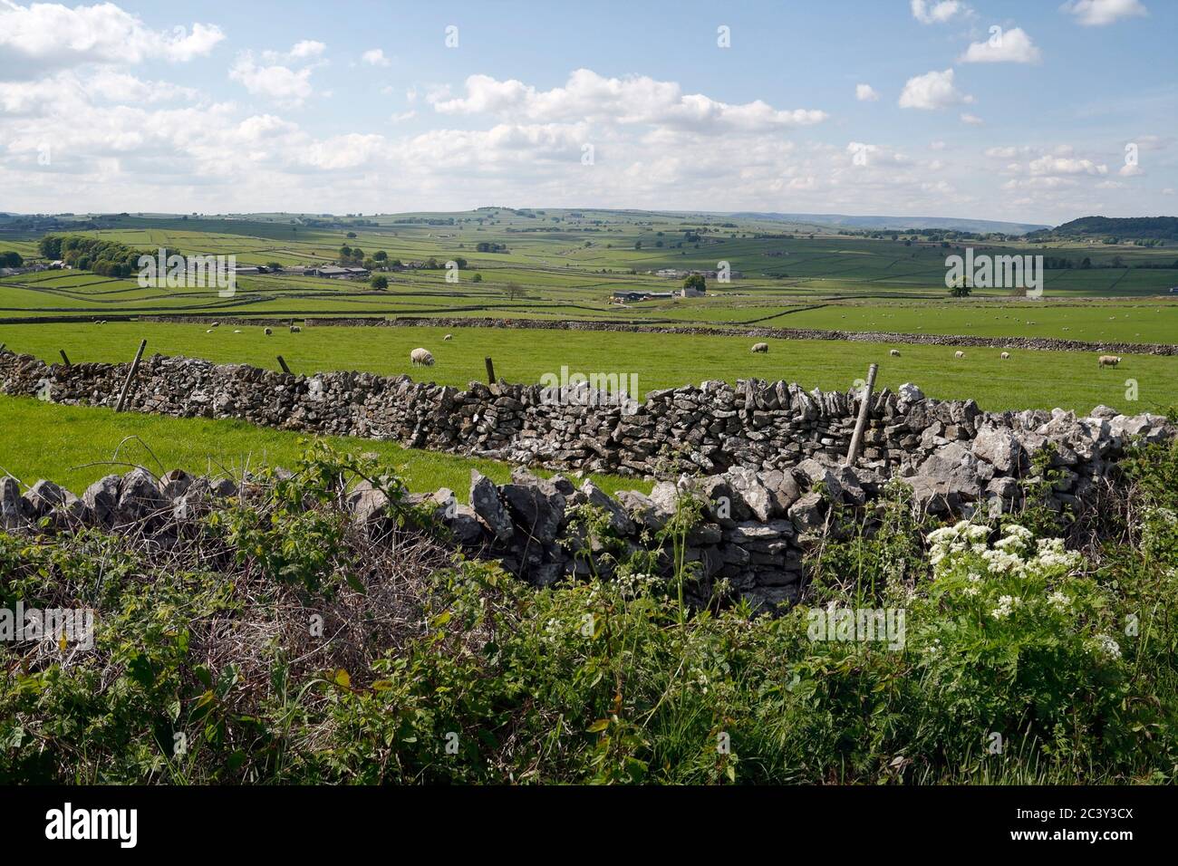 English meadows hi-res stock photography and images - Alamy