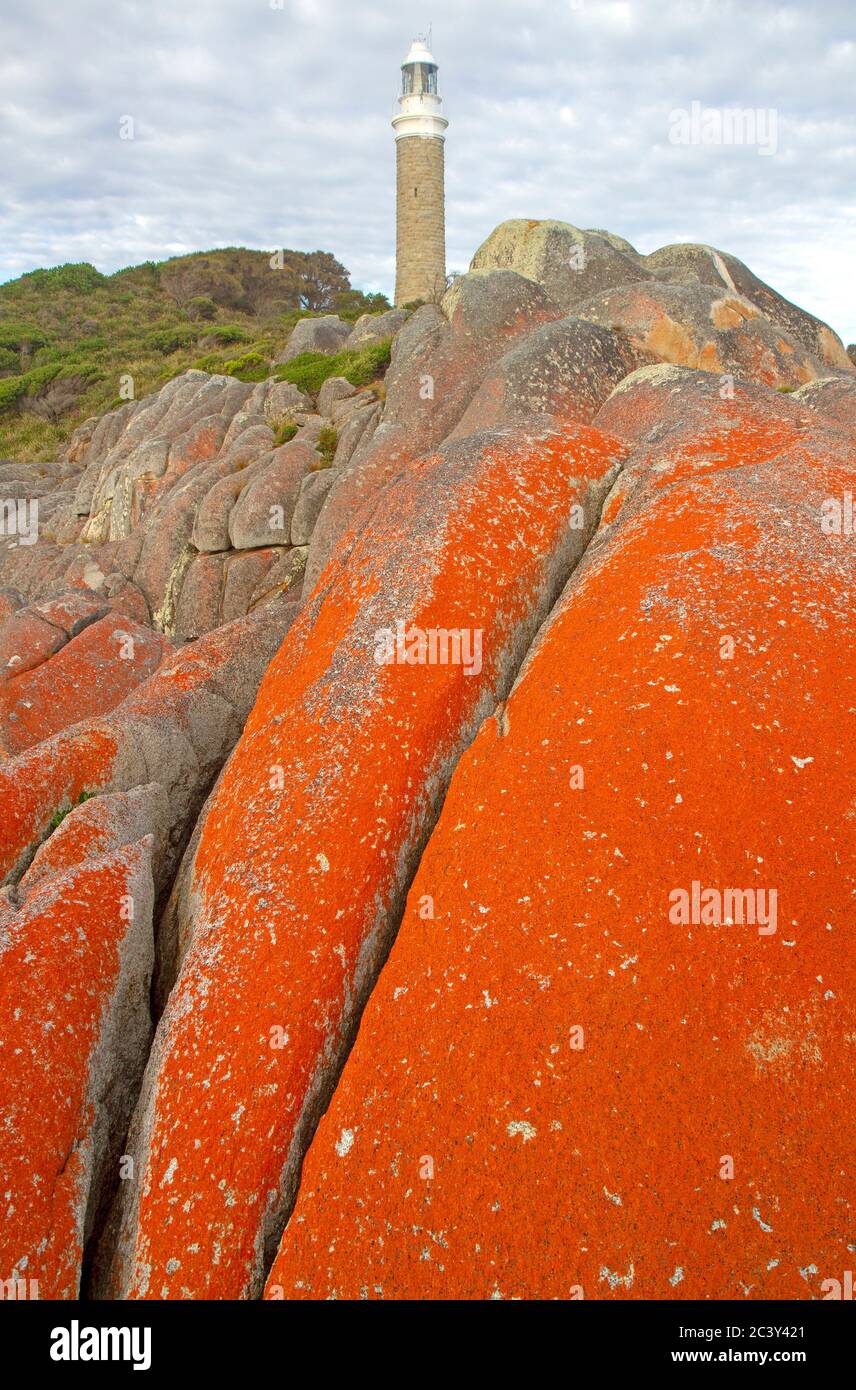 Lighthouse at eddystone point hi-res stock photography and images - Alamy