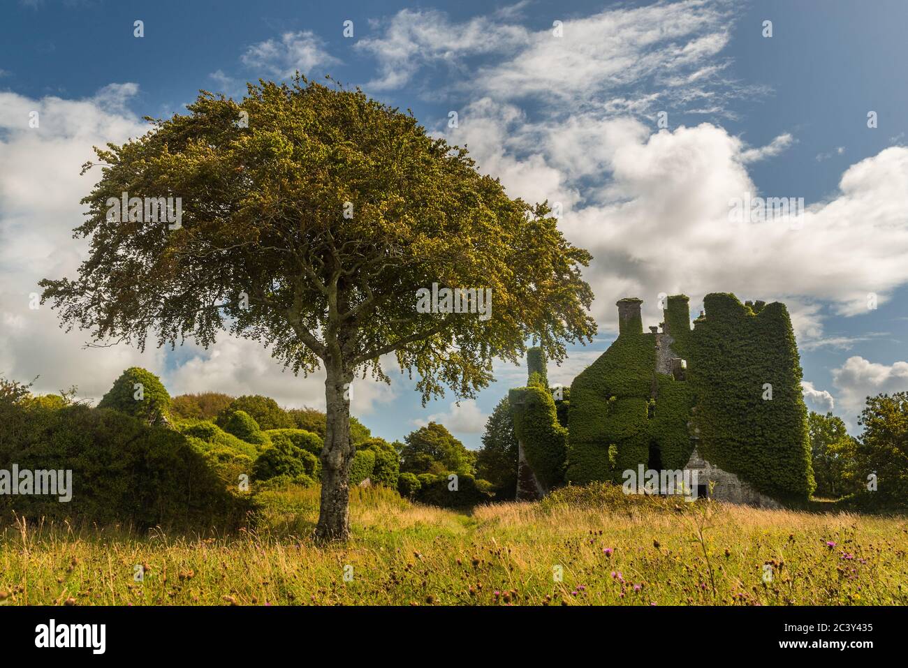 Menlo castle in beautiful Ireland Stock Photo - Alamy