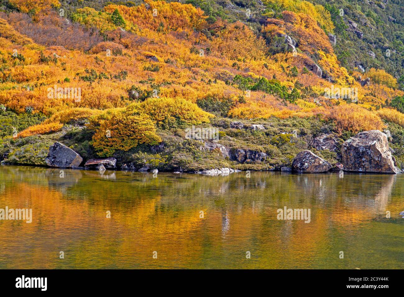 Mt field national park hi-res stock photography and images - Alamy