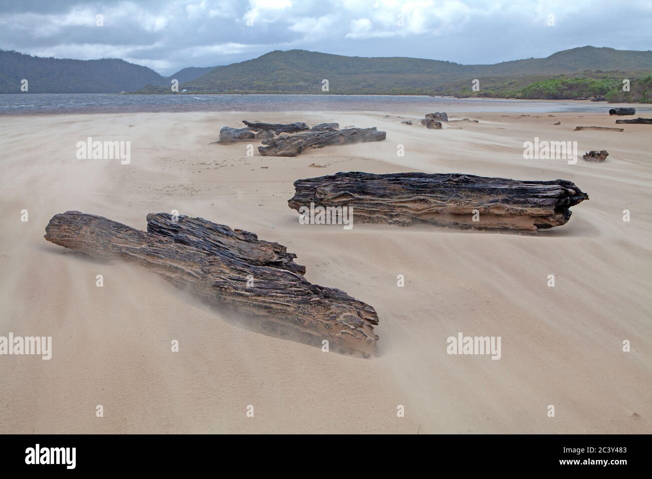 Logs ashore hi-res stock photography and images - Alamy