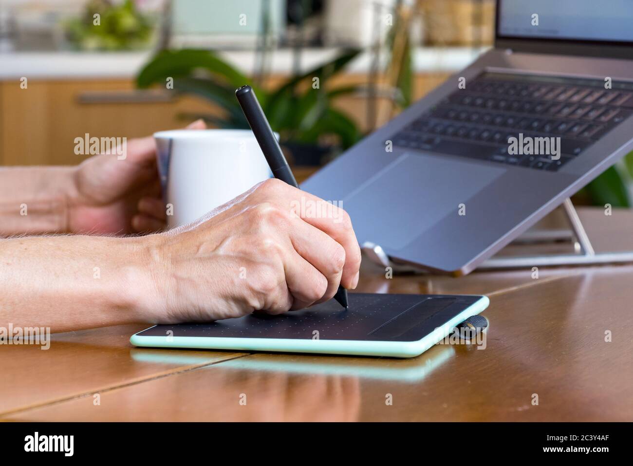 Female designer hands using a drawing graphics tablet and a laptop ...