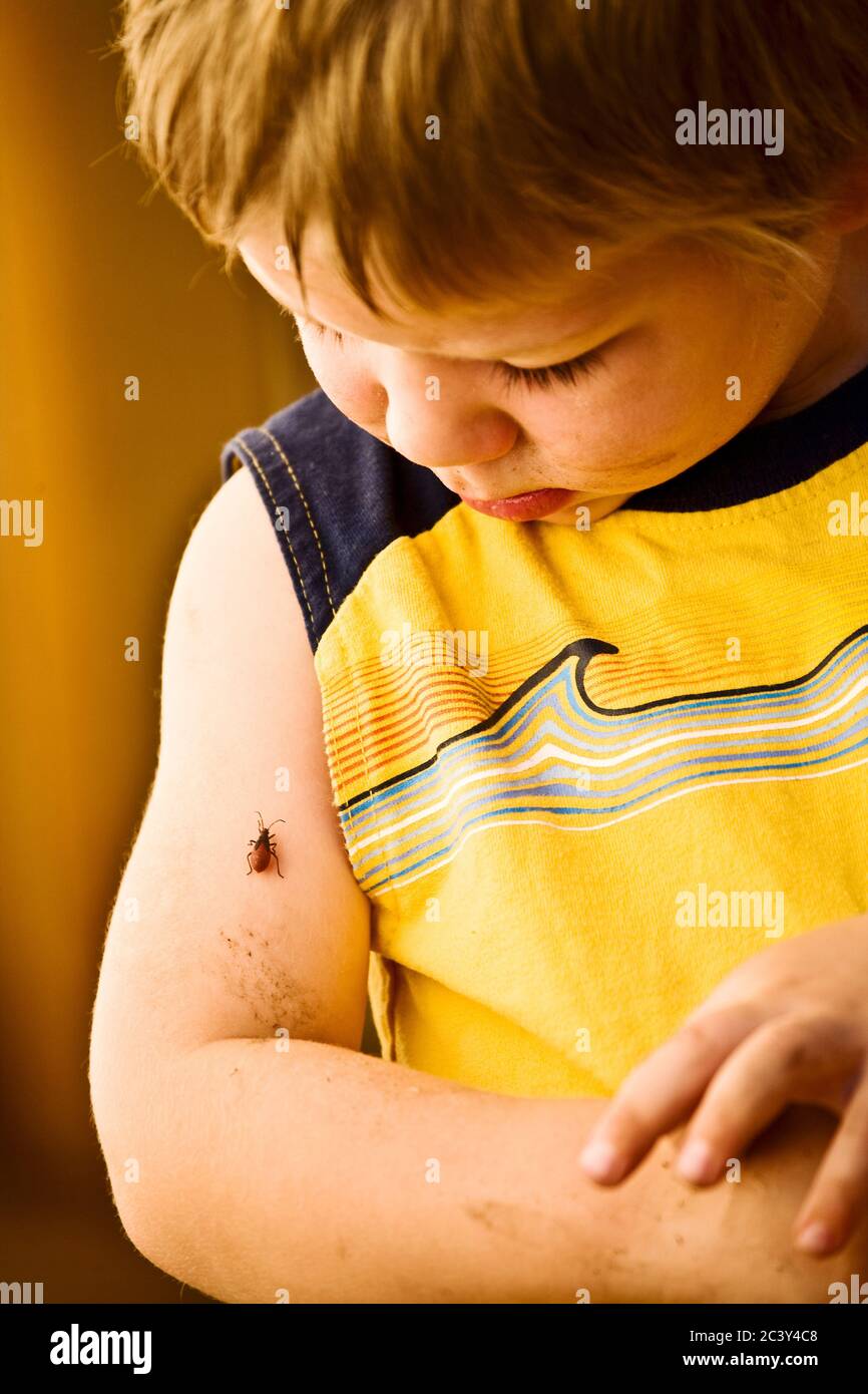Crawl observation hi-res stock photography and images - Alamy