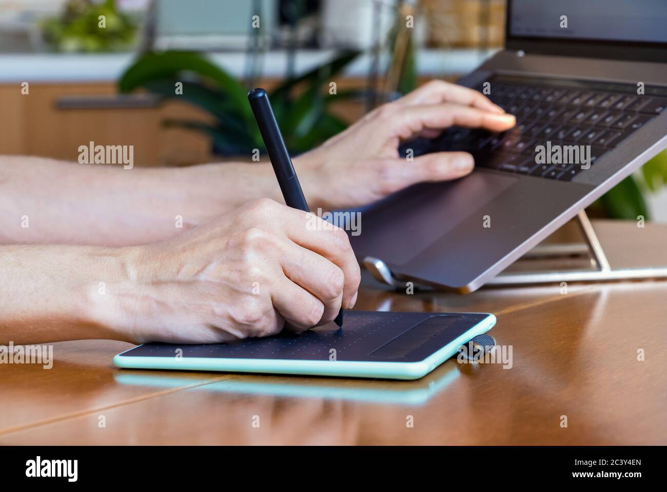 Female designer hands using a drawing graphics tablet and a laptop ...