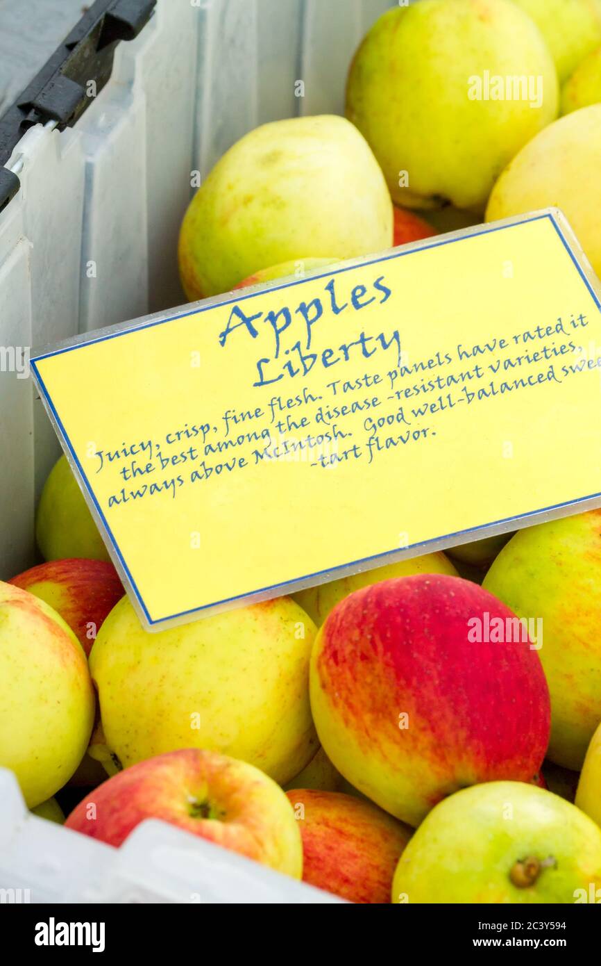 Apple fruit identification hi-res stock photography and images - Alamy