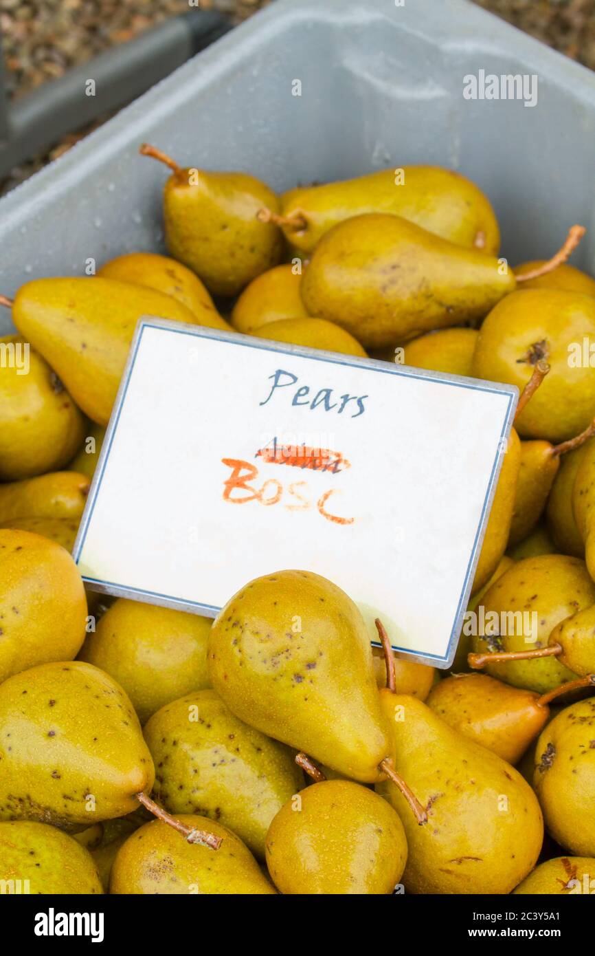 Pears in a bin hi-res stock photography and images - Alamy