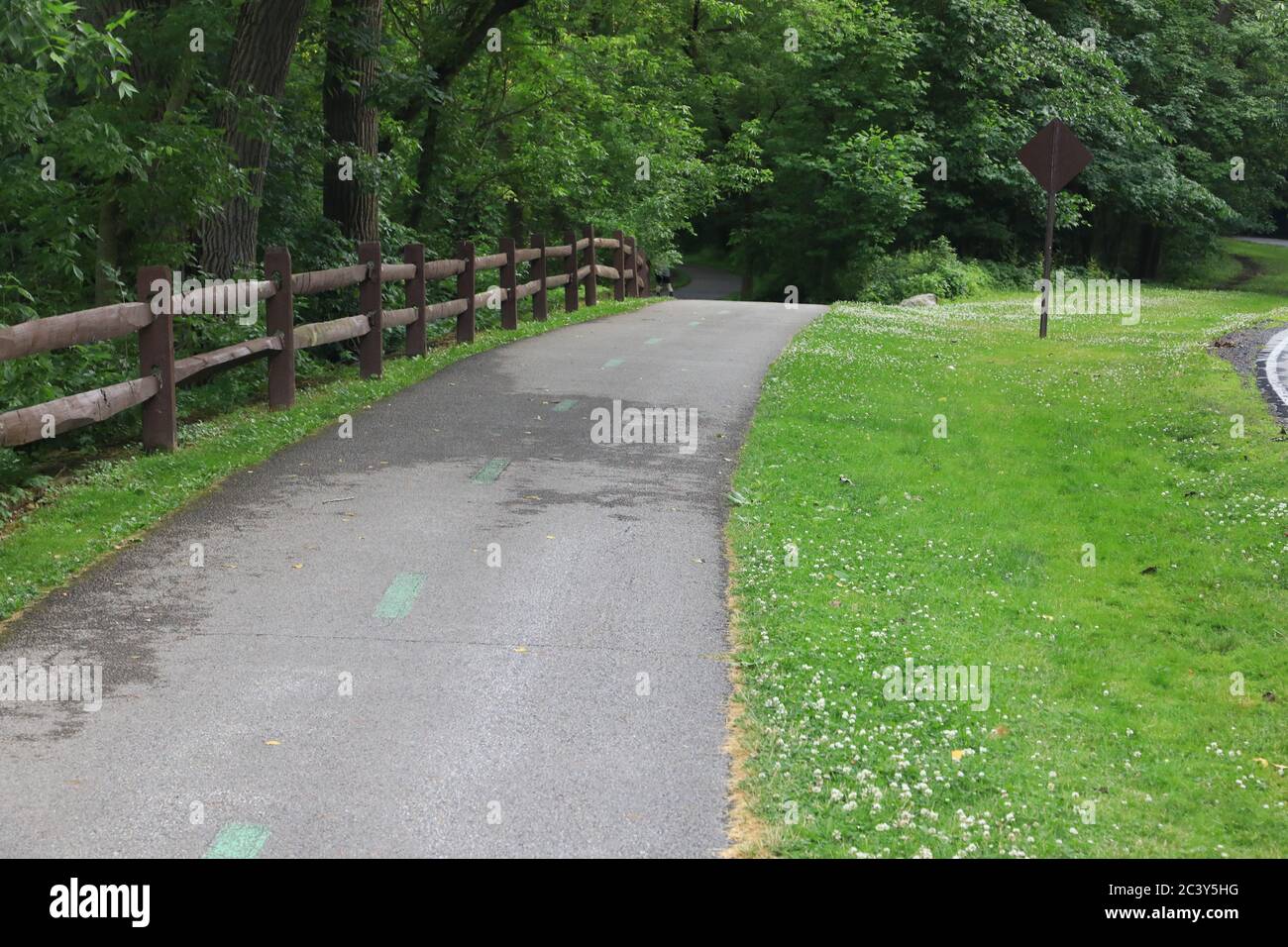 Multipurpose paved path in the nature park Stock Photo - Alamy