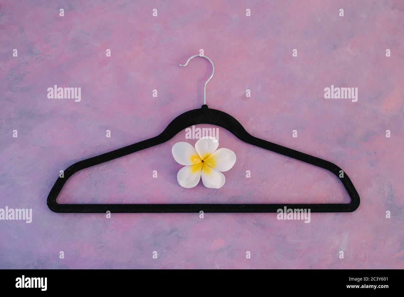 style and fashion industry concept, velvet clothes hanger on pink desk ...