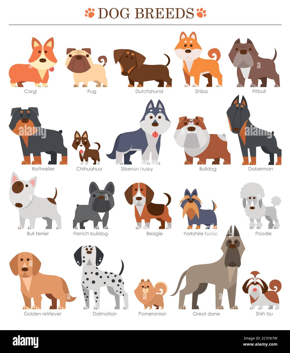 Vector Illustration Of Cartoon Dogs Breeds Set Cute Dog Stock Vector Vector Illustration Of Cartoon Dogs Breeds Set Cute Dog Stock Vector