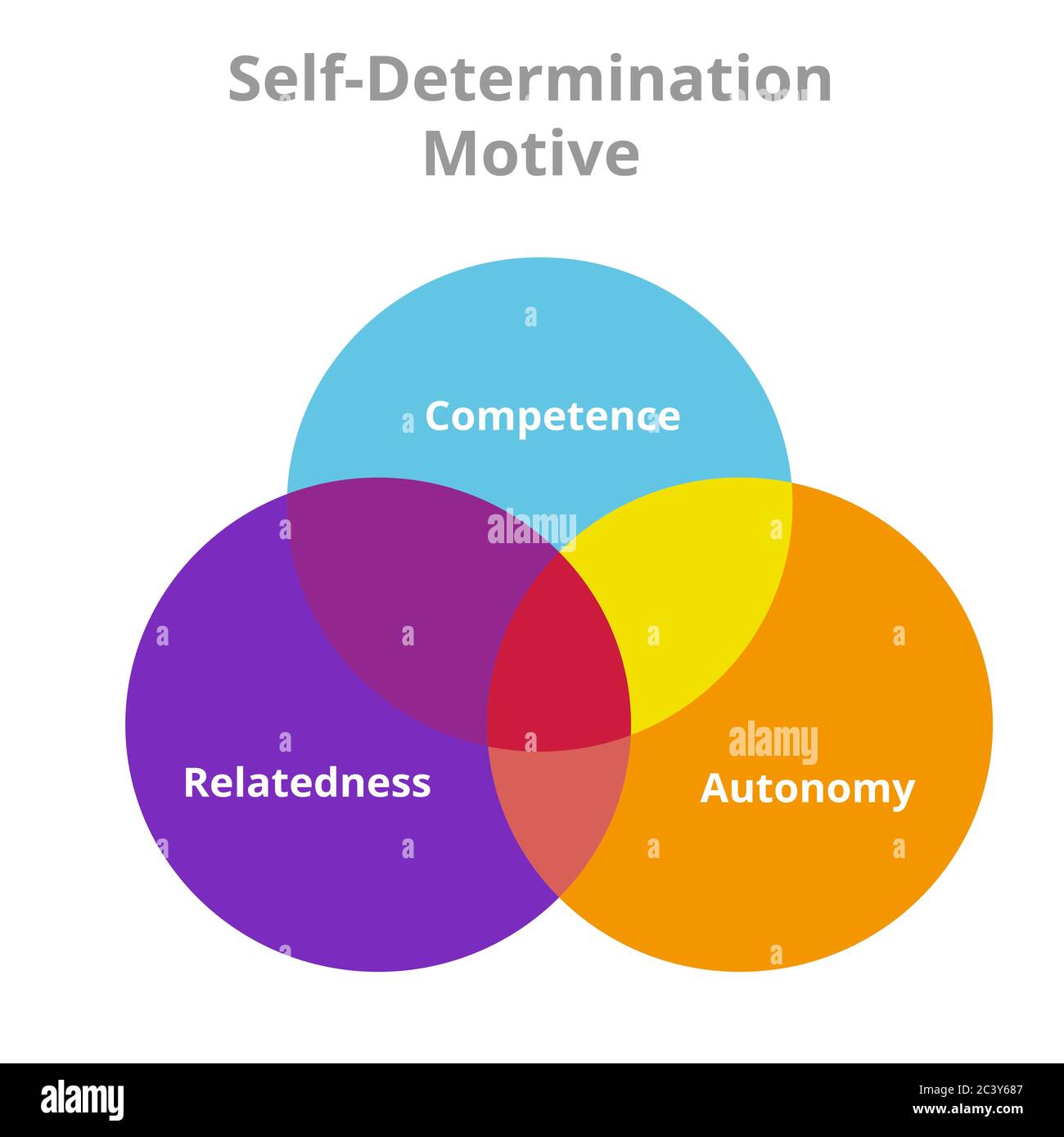 Self determination motive competence autonomy relatedness circle ...