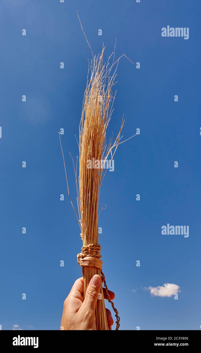 Close up man holding bunch hi-res stock photography and images - Alamy