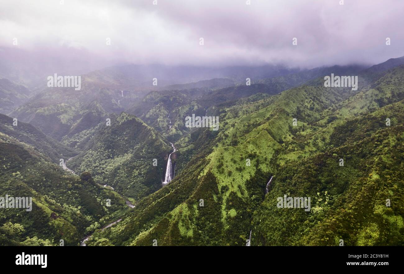 Rainforest day hi-res stock photography and images - Alamy