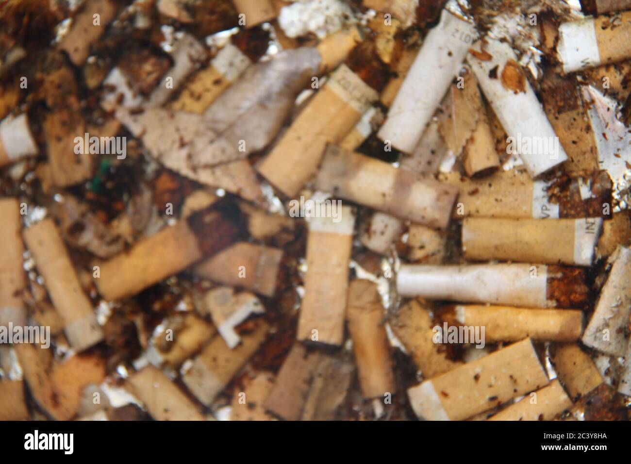 The ‘Yuk’artwork raises issues about discarded cigarette butts in front ...