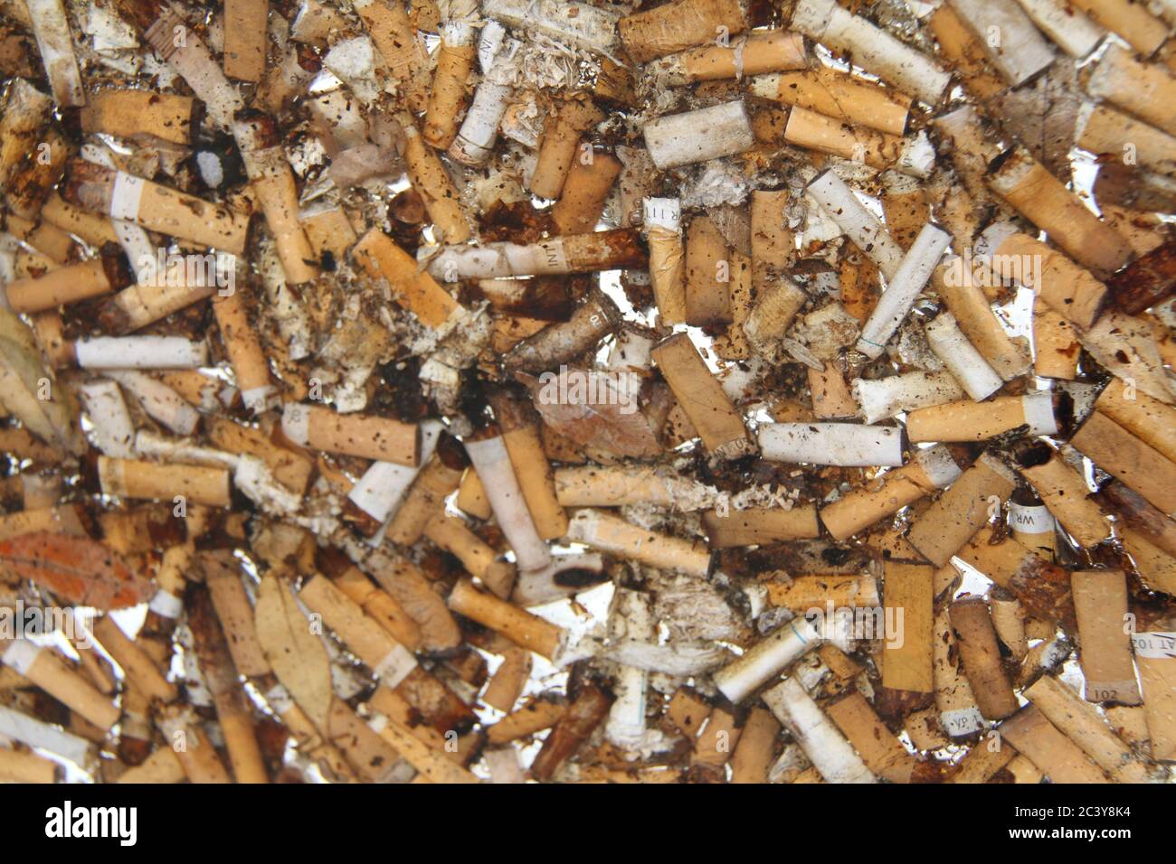 The ‘Yuk’artwork raises issues about discarded cigarette butts in front ...