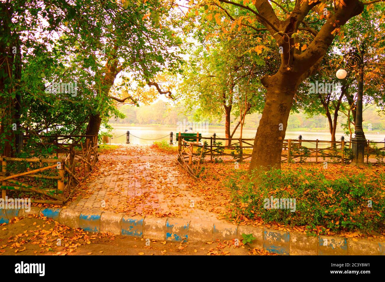Front or back yard Public park in autumn season. Tranquil scene ...
