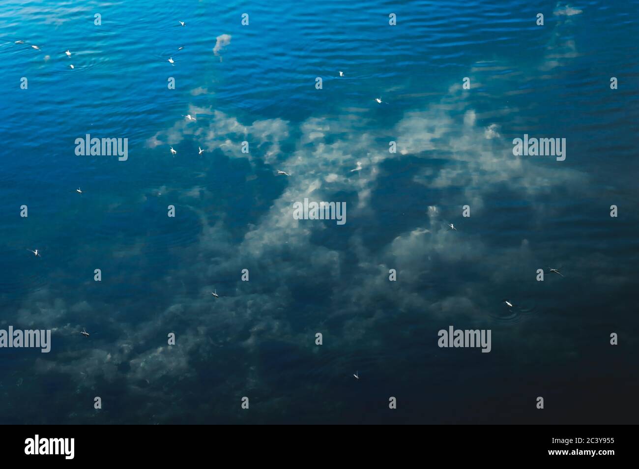 Deep Blue sea ocean floor Backgrounds. Abstract pattern texture and ...