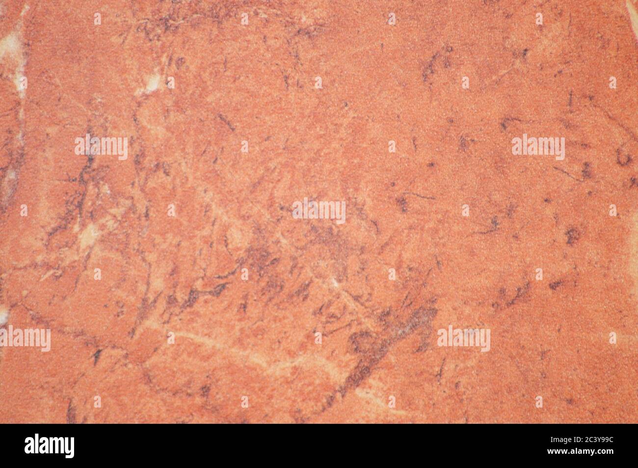 Brown agate, polished surface of natural stone with white veins close ...