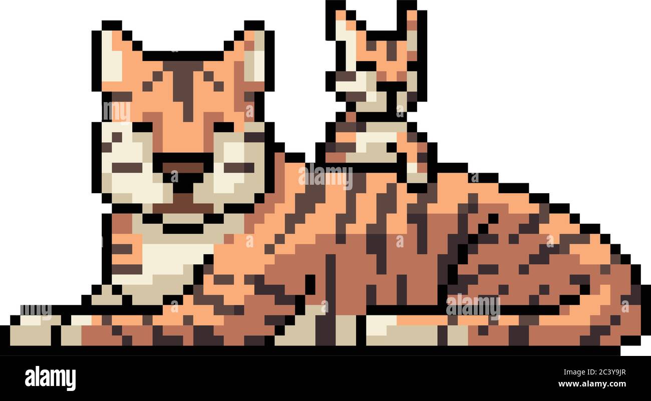 Pixel tiger High Resolution Stock Photography and Images - Alamy