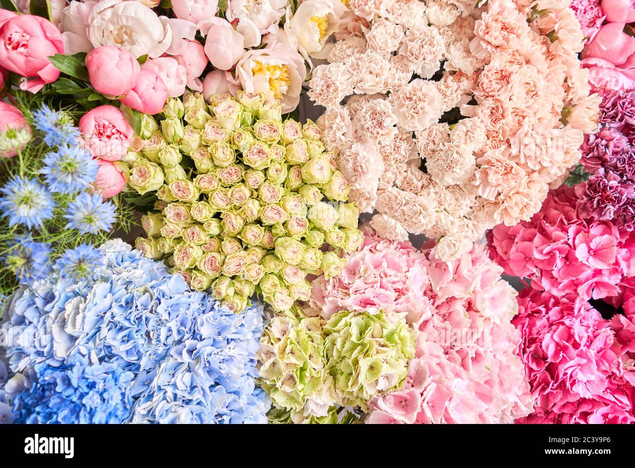 Floral carpet or Wallpaper. Background of mix of flowers. Beautiful ...