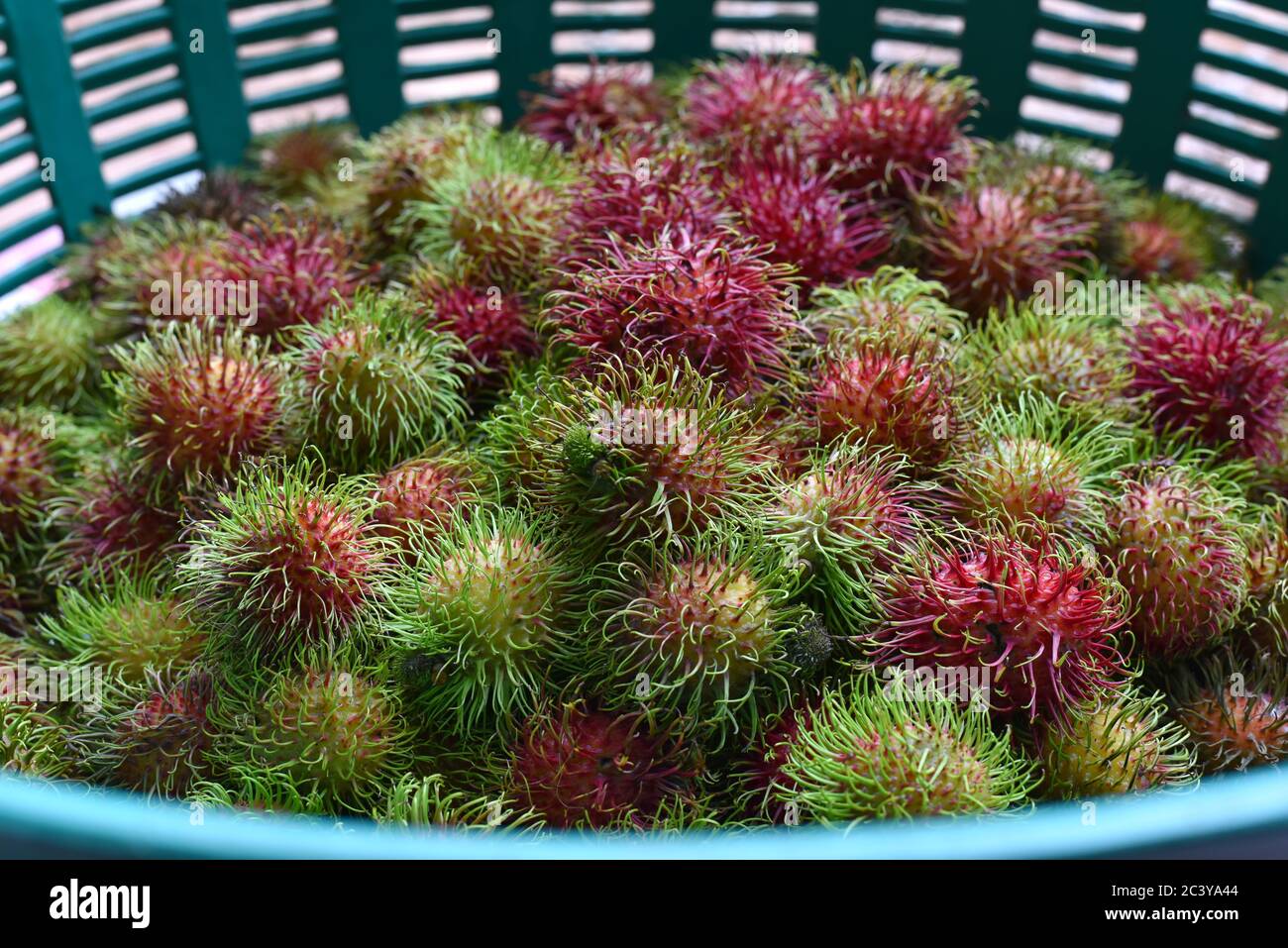 Close up Rambutan peeled. Top view Healthy fruits rambutans in a ...