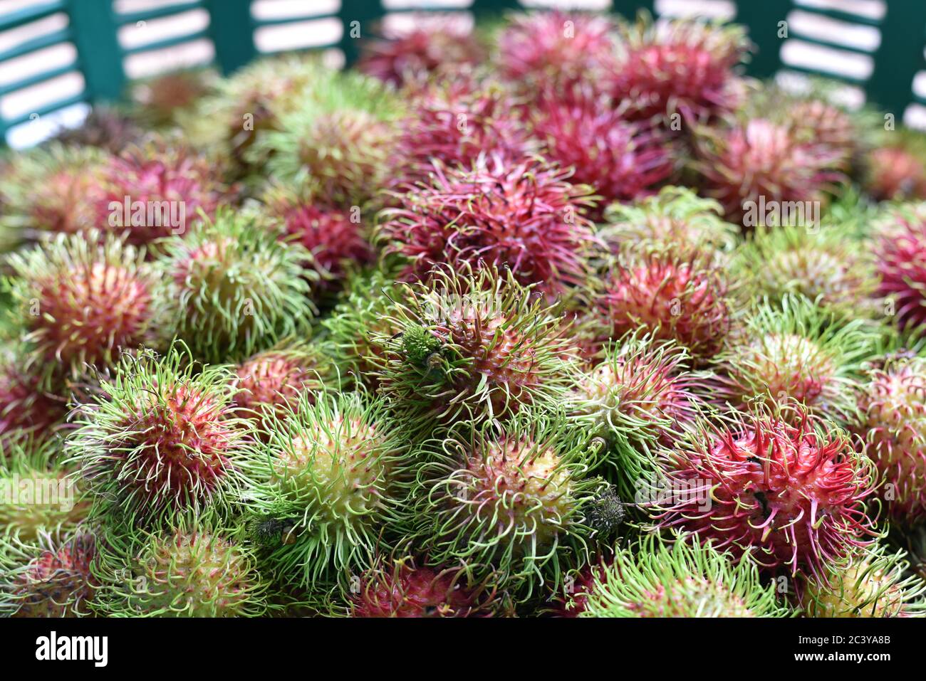 Close up Rambutan peeled. Top view Healthy fruits rambutans in a ...