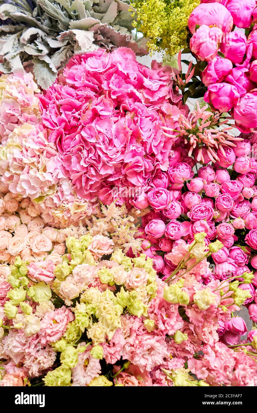 Floral carpet or Wallpaper. Background of mix of flowers. Beautiful ...