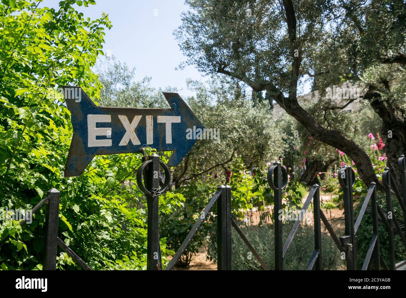 Exit sign in front of nature Stock Photo - Alamy