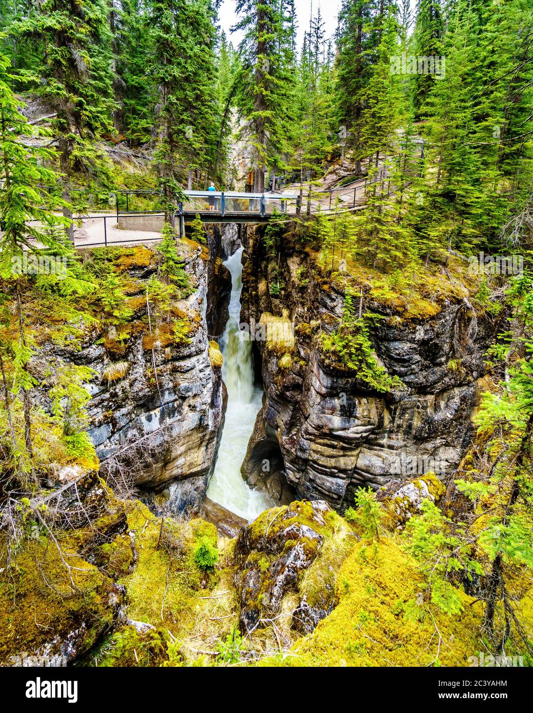 Maligne canyon in jasper national park hi-res stock photography and ...
