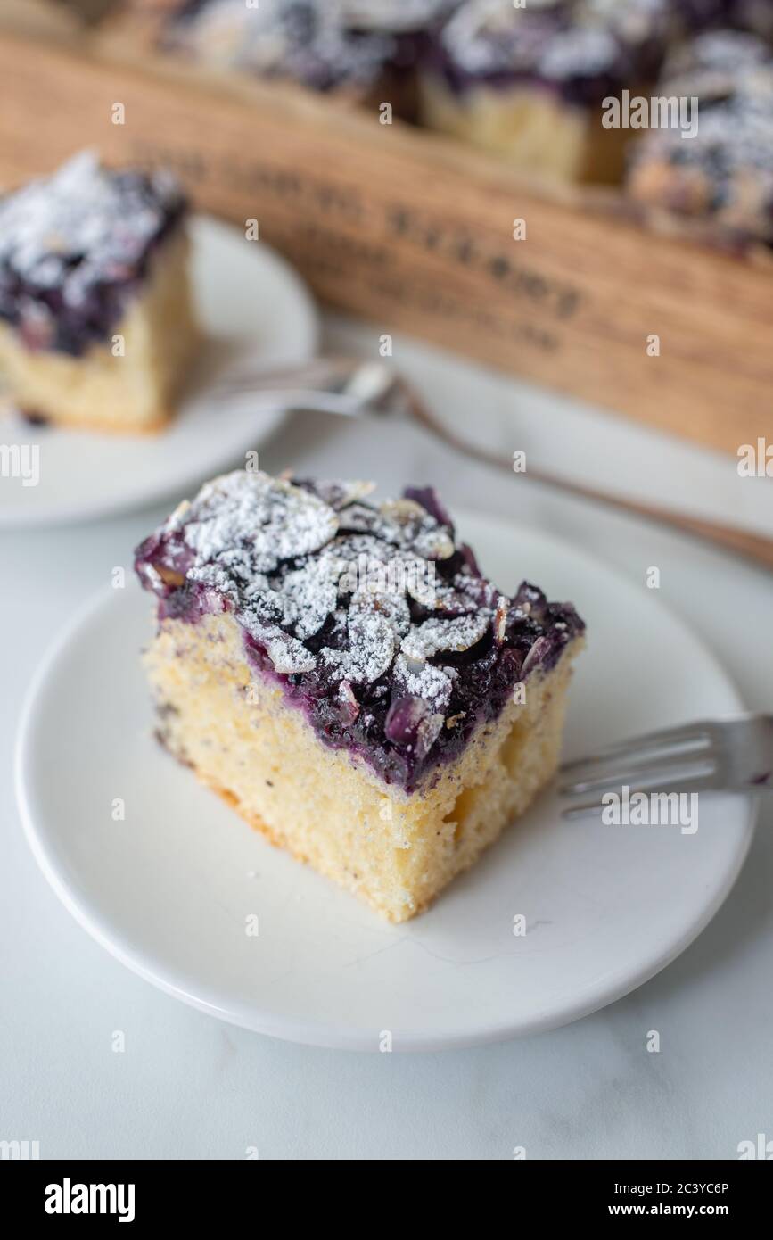 sweet home made blueberry sponge cake Stock Photo - Alamy