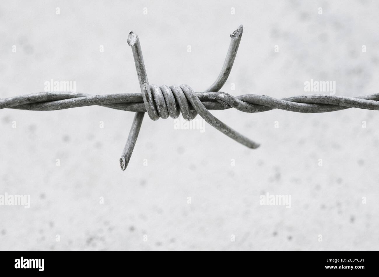 Detail barbed wire security fence isolated on bright grey background ...