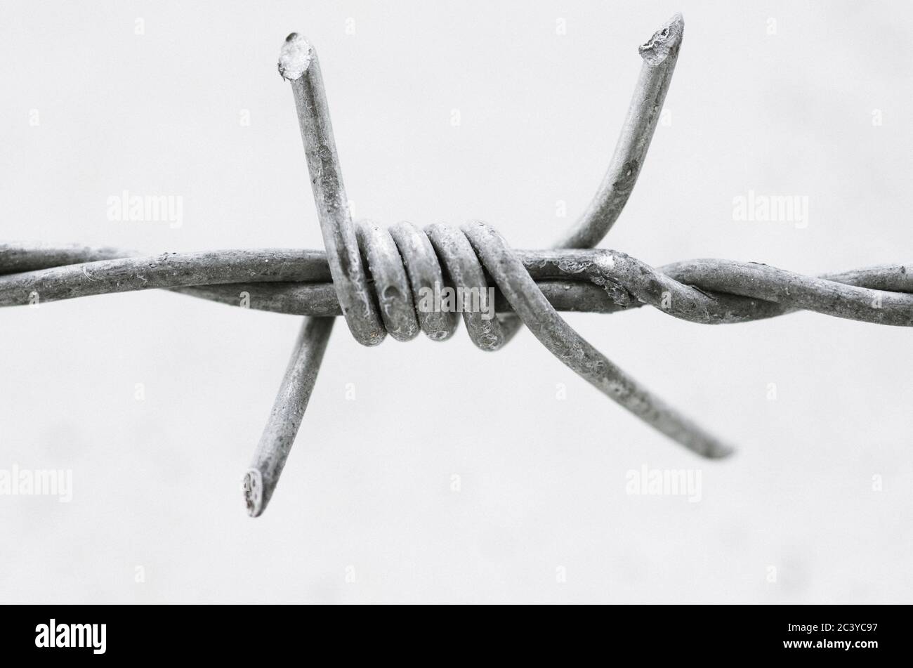 Detail close up barb wire security fence isolated on bright grey ...