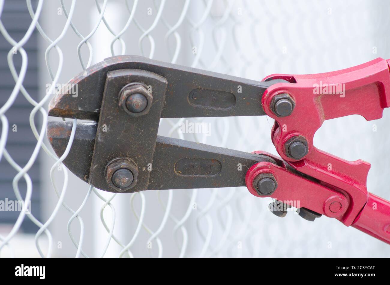 Close up detail of heavy metal bolt clipper with red handles cutting ...
